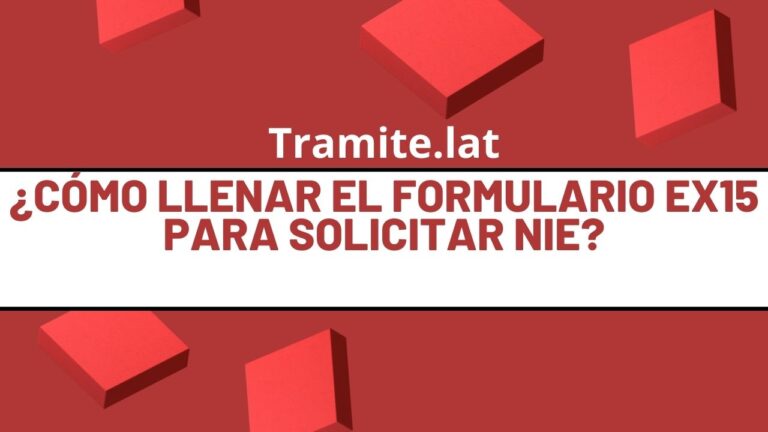 ¿Cómo Llenar El Formulario Ex15 Para Solicitar NIE? 🤗 【 Lo Mejor de ...