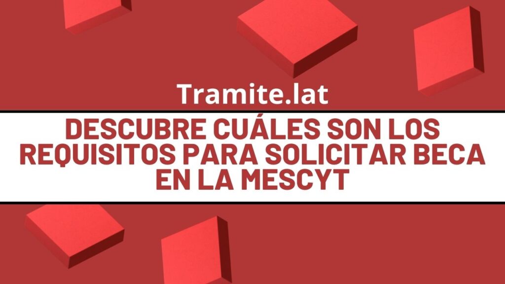Descubre Cuáles Son Los Requisitos Para Solicitar Beca En La Mescyt 🤗 ...